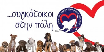 Παγκόσμια Ημέρα Αδέσποτων στον Δήμο Ηρακλείου / Ηράκλειο - Πολλαπλές ...